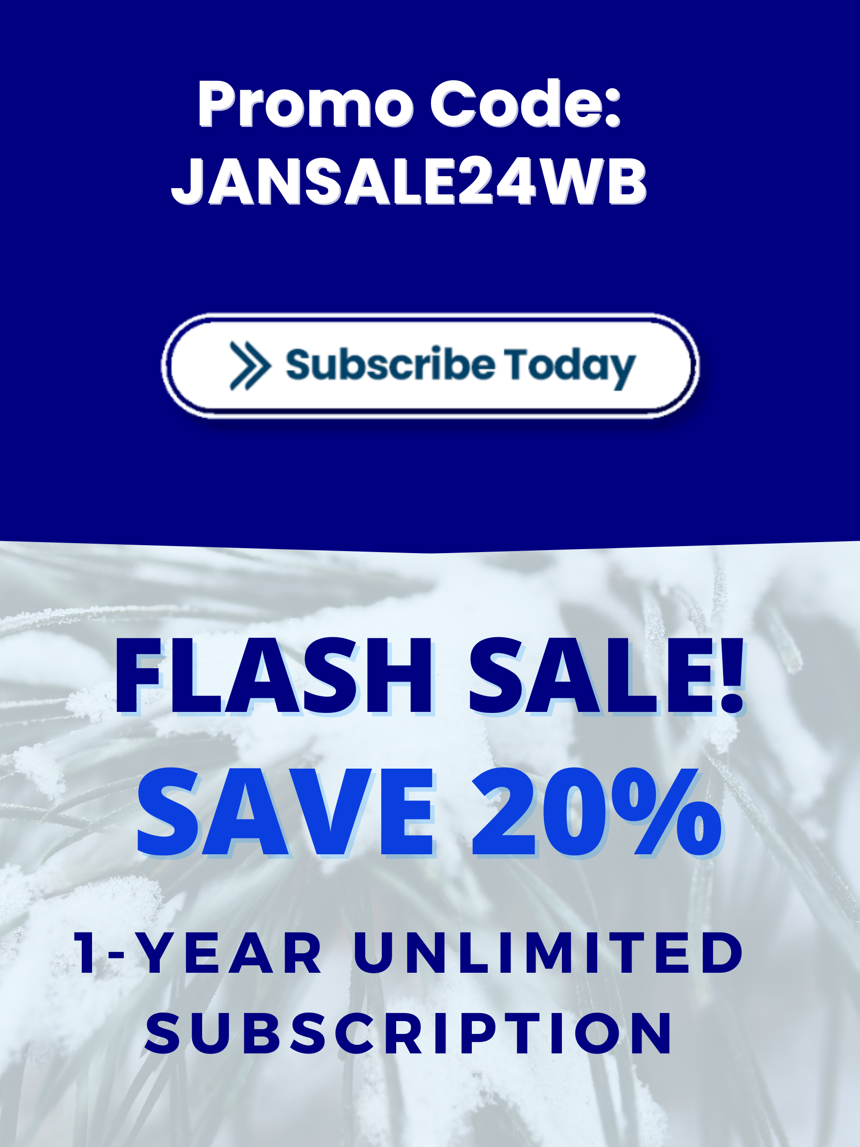 Accessibility Conformance - CE4Less